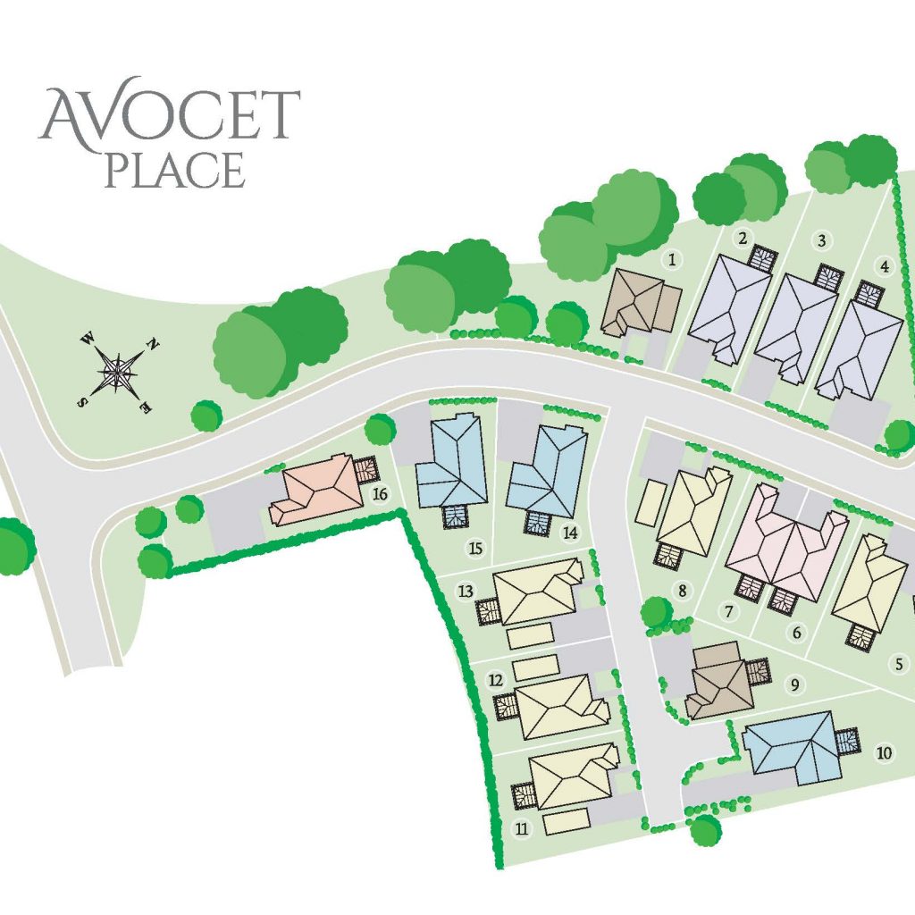 Phase 1 released at Avocet Place : Scott Residential